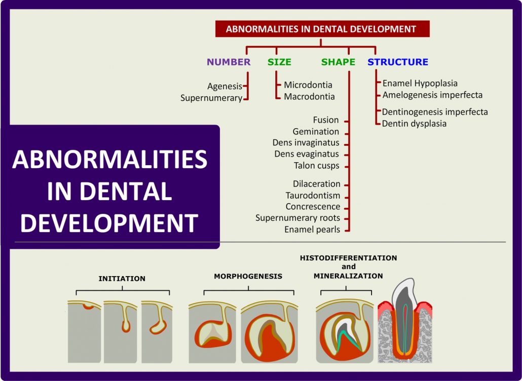 Ortho Lectures By Sid Vora – Lectures, Research, & Professional Profile